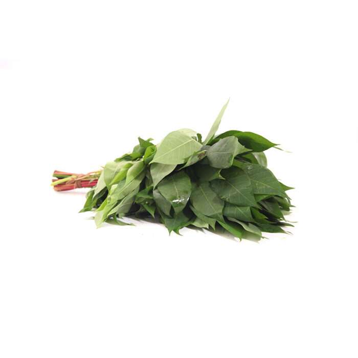 Manioc leaves - Forest Garden Organics